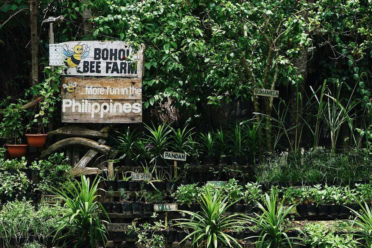 EAT and EXPLORE – Bohol Bee Farm – EATSplorations