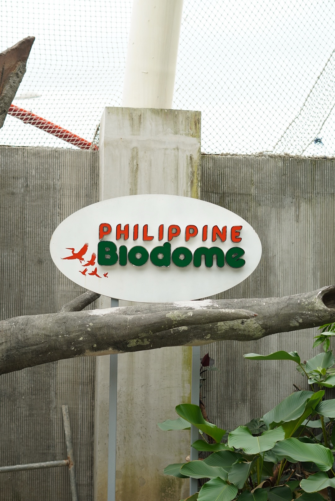 Philippine Biodome – Manila’s NEWEST and Most Beautiful Attraction Yet ...